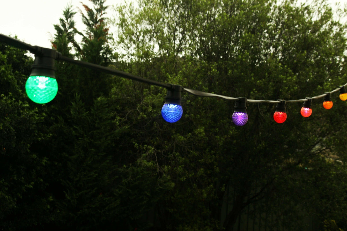 Festoon Bulbs - G50 Facetted (Prism) Bulb - 24vdc - E27 Socket ...